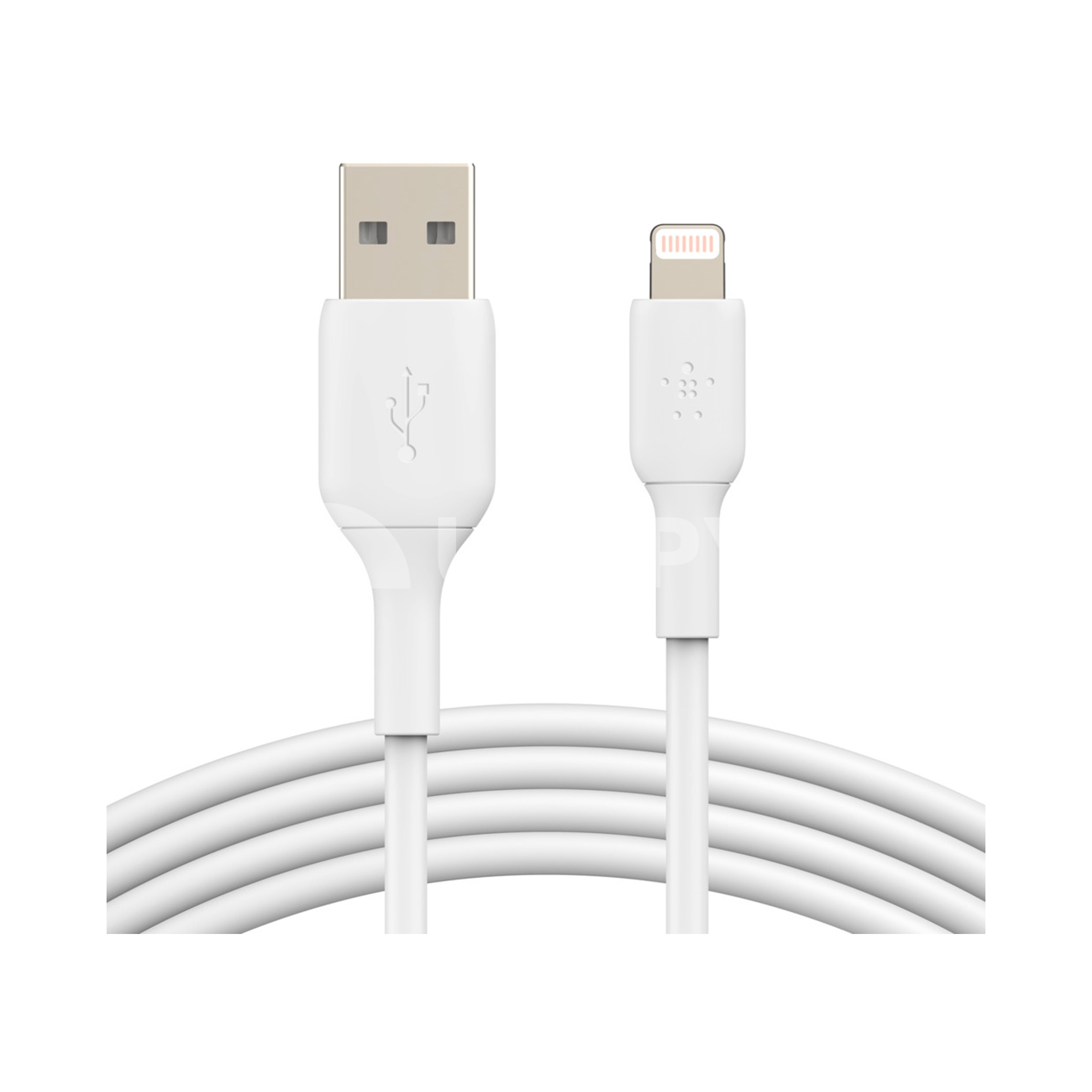 BELKIN Câble Lightning MFi 1m (Blanc) CAA001bt1MWH